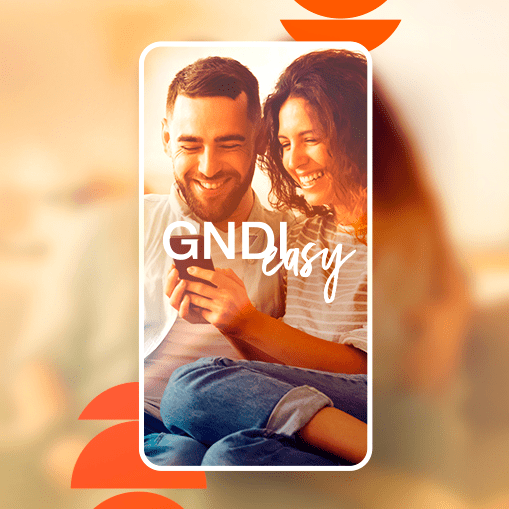Aplicativo GNDI Easy - Minas - NDI